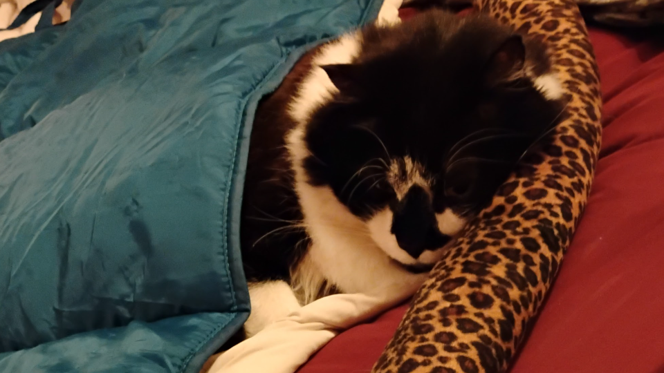 Help Krista Keep Home